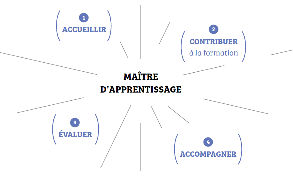 Le rôle de Maître d’apprentissage – CFA ENSUPLR Le rôle de Maître d’apprentissage – CFA ENSUPLR